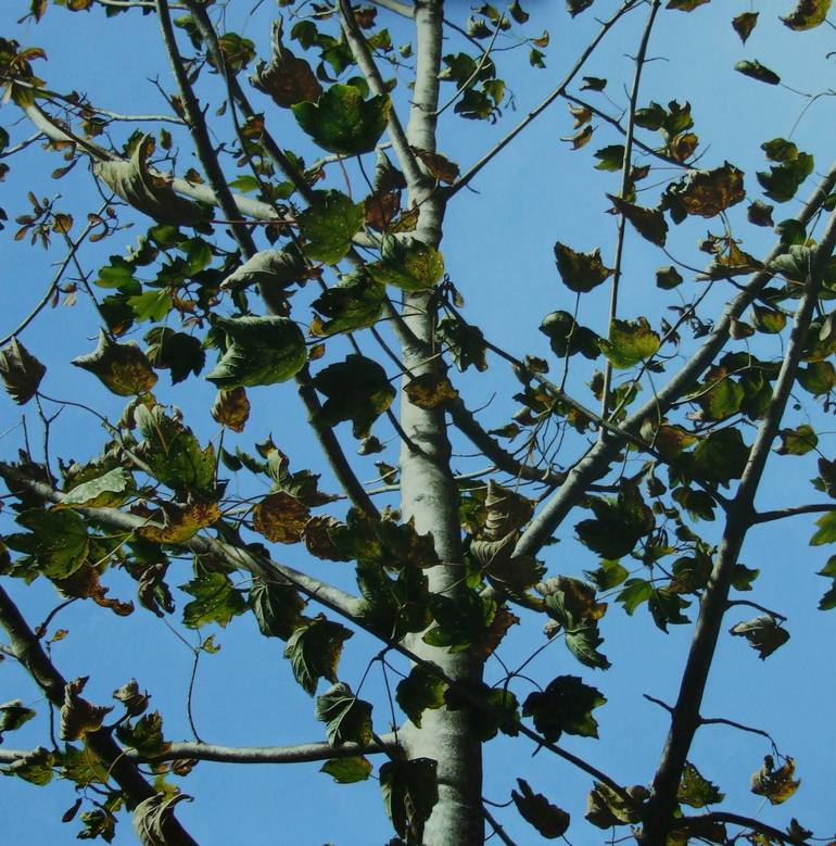 All your stupid hopes and dreams Painting by Gareth Mccorry | Saatchi Art