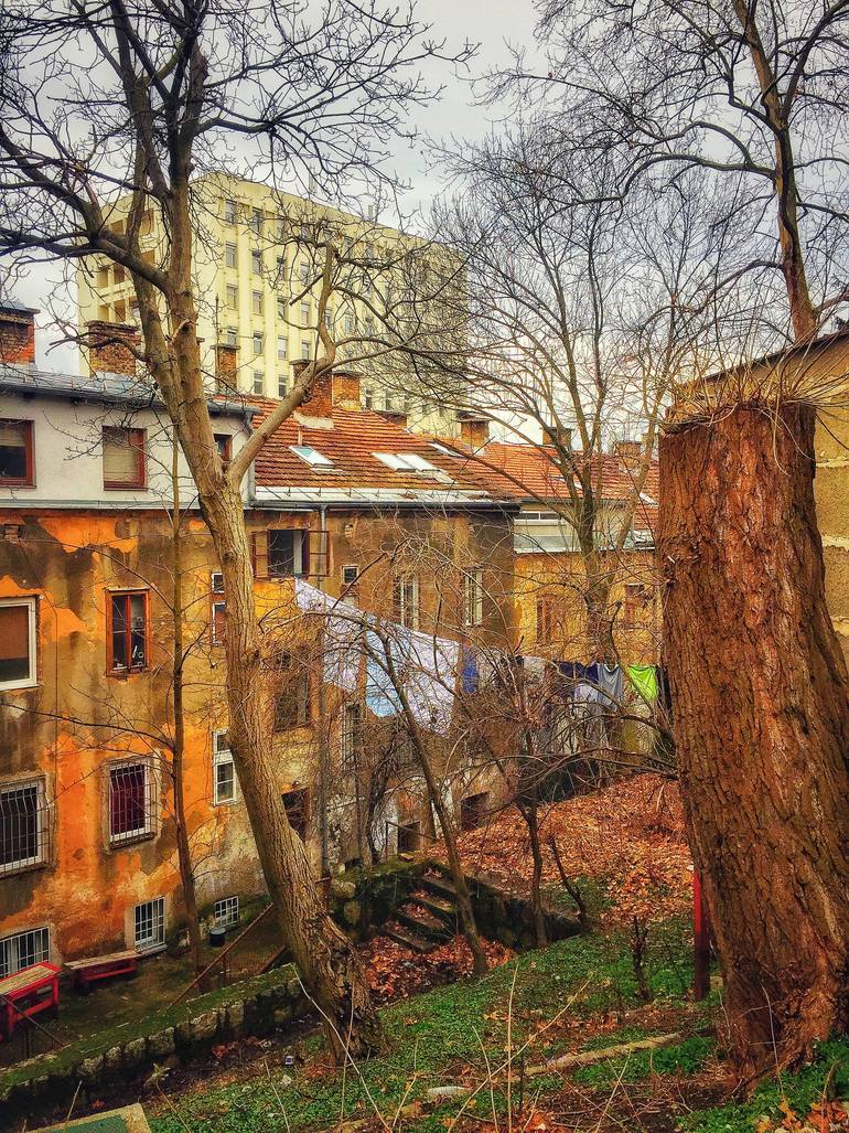 Winter Trees and Clothesline, Sarajevo, Bosnia Photography by Derek ...