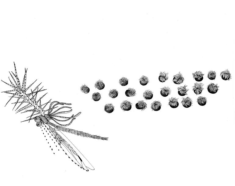 a rattling good mood Drawing by Ji-ii Choi | Saatchi Art