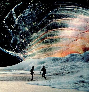 Hugo Barros | Saatchi Art