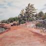Killbear - beach with white pines Painting by Les Luxemburger | Saatchi Art