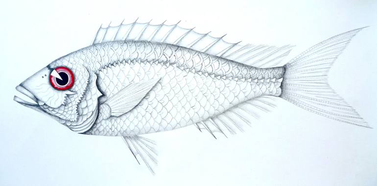 Lamu fish Drawing by Lesli Bell | Saatchi Art