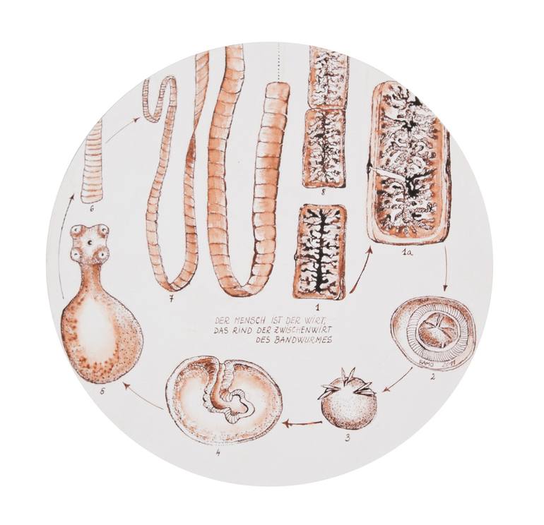 Tapeworm Painting by Ramona Romanu | Saatchi Art