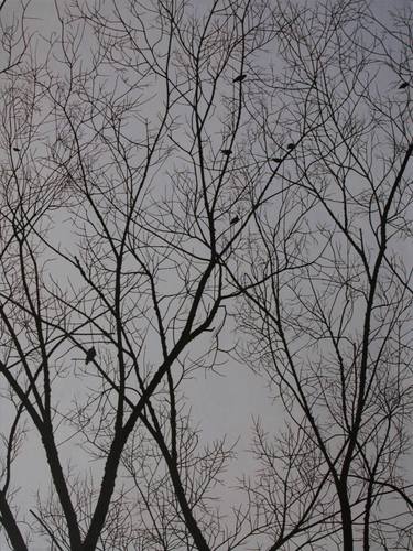 Bruce Mitchell | Saatchi Art