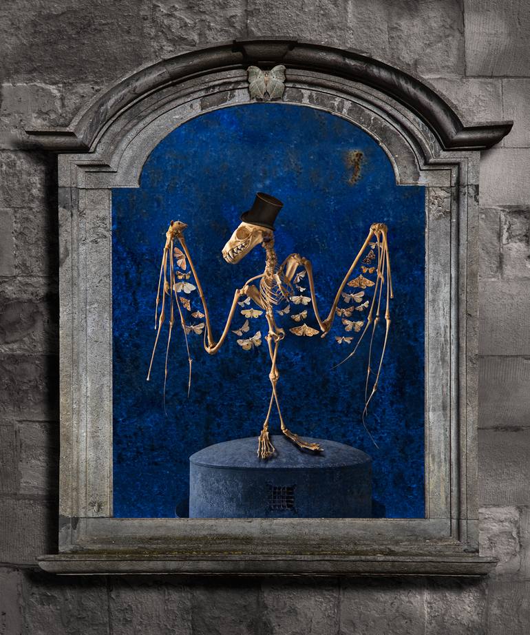 The Dancing Fruit bat - Limited Edition 5 of 15 Photography by Paul ...