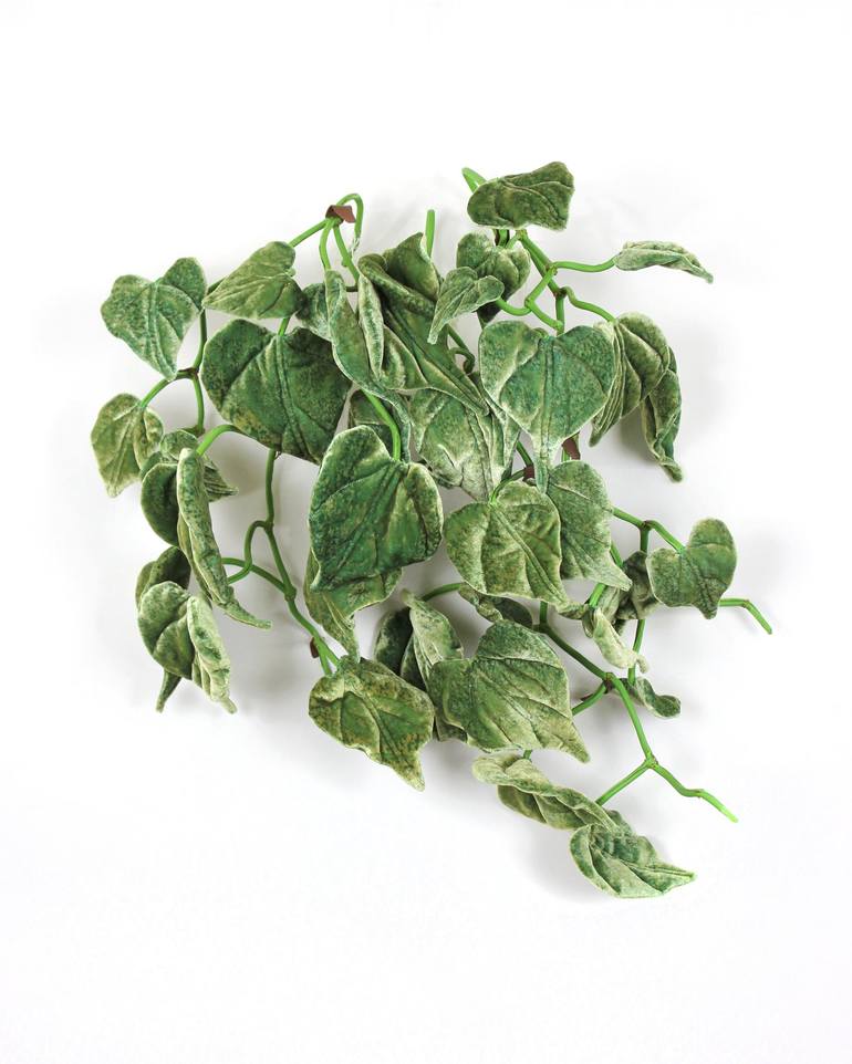 Devil's Ivy Sculpture by Emily Schnellbacher Bean | Saatchi Art