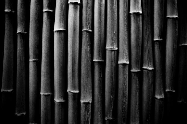 Bambones Photography by Simon Oxley | Saatchi Art