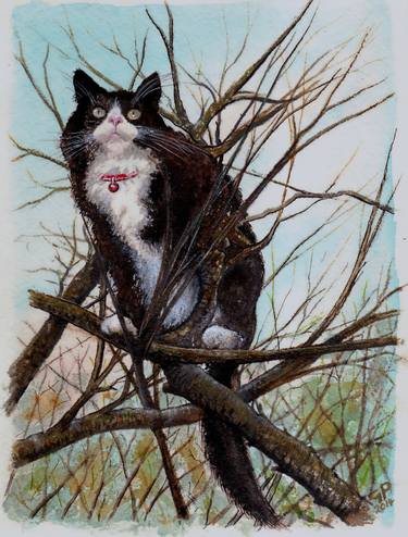 Graham Pope Artworks | Saatchi Art