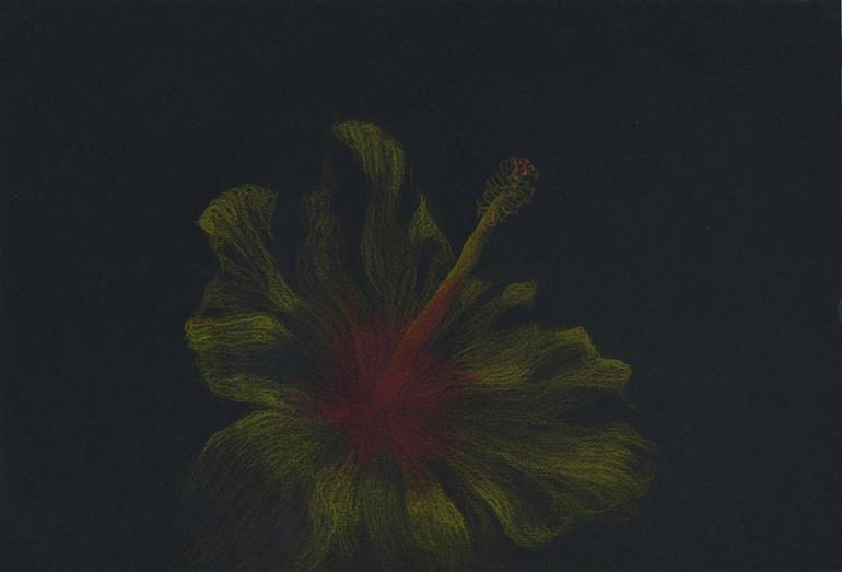 Island Drawing by Markta Šenkyřík | Saatchi Art