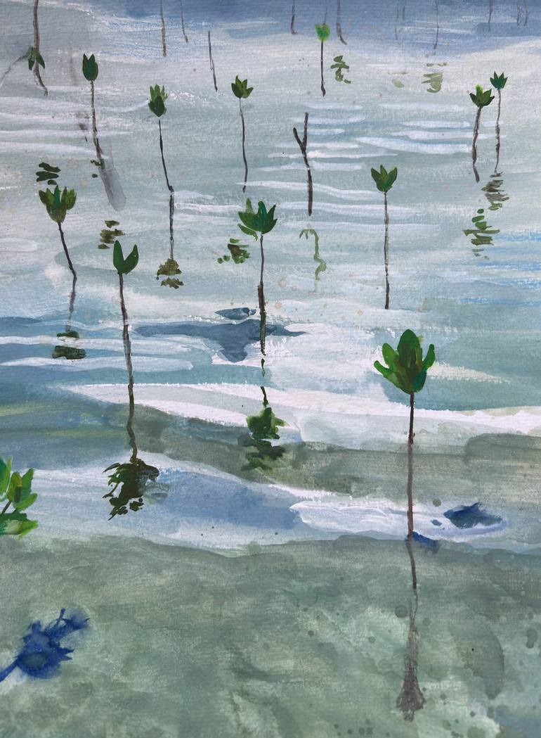 Young Mangroves Drawing by Kevin Gray | Saatchi Art