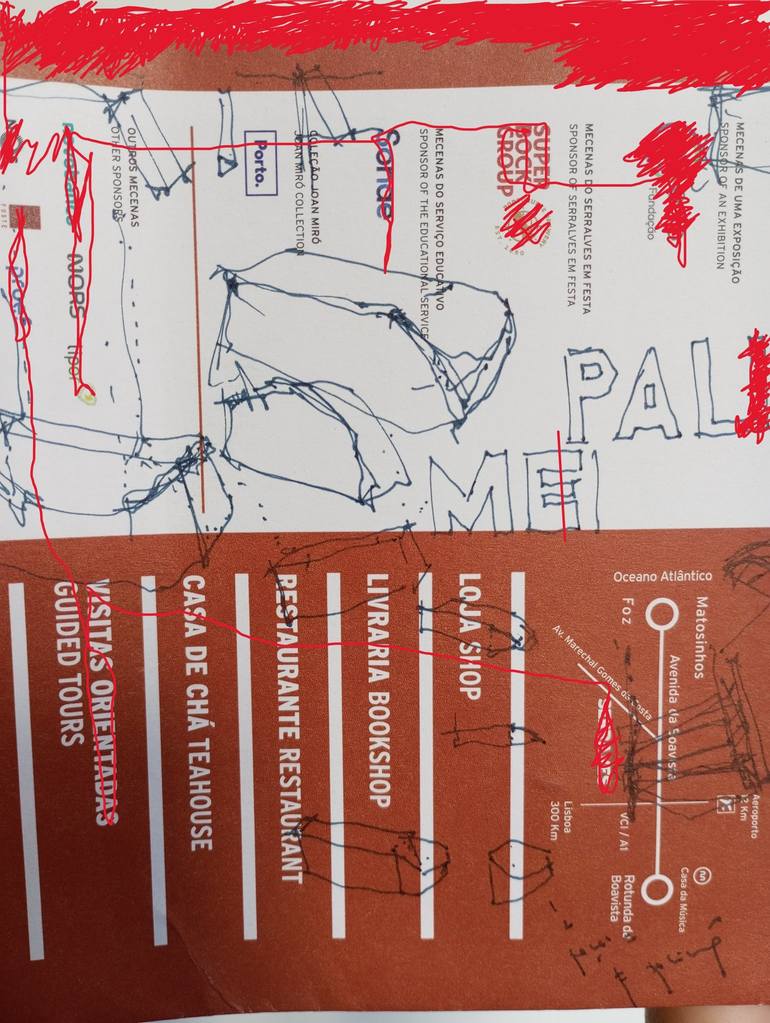 pela Drawing by Patrícia Mesquita | Saatchi Art