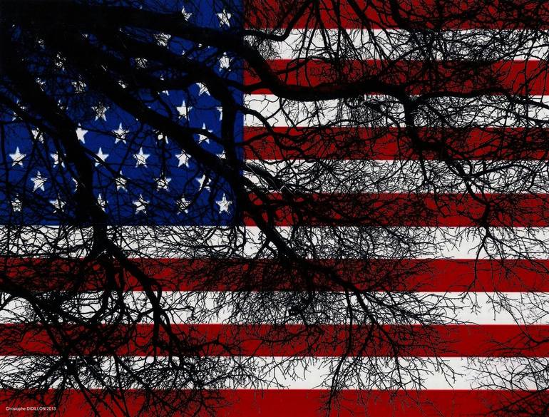 USA Flag Collage by DIDILLON ART | Saatchi Art