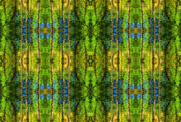 Silver Falls from Ambient Works 2019 Photography by Steven Ballinger ...