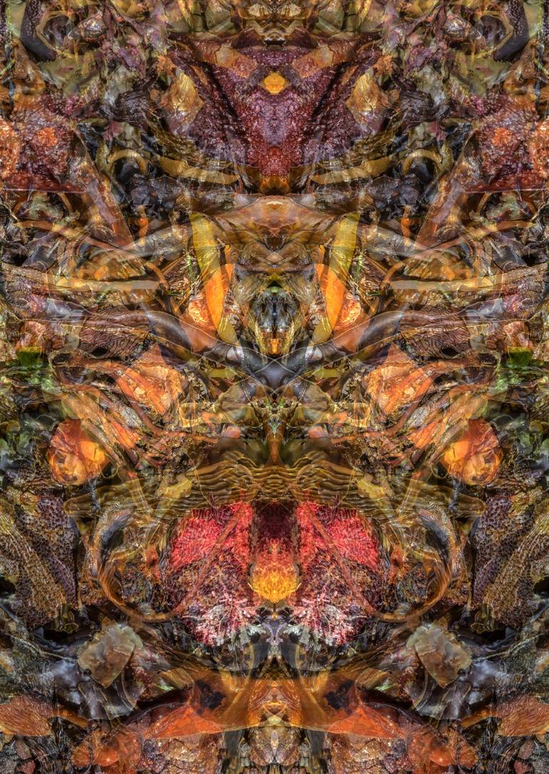 Point Lobos from Ambient Works 2019 Photography by Steven Ballinger ...