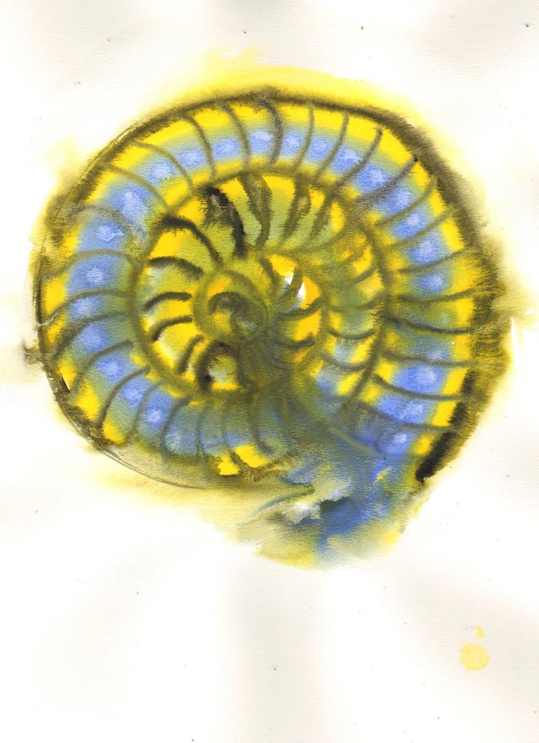 My Ammonite Painting by Steve Ferris | Saatchi Art