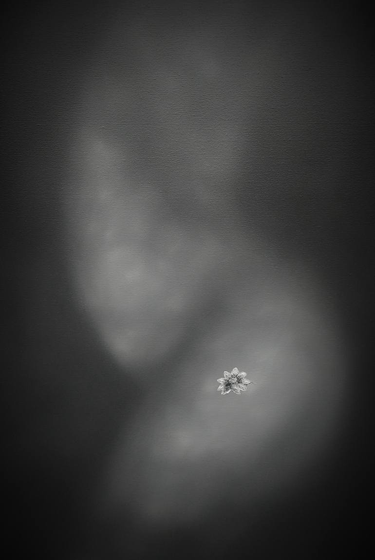 A landscape with flowers No.04 Painting by Li Fang 李放 | Saatchi Art