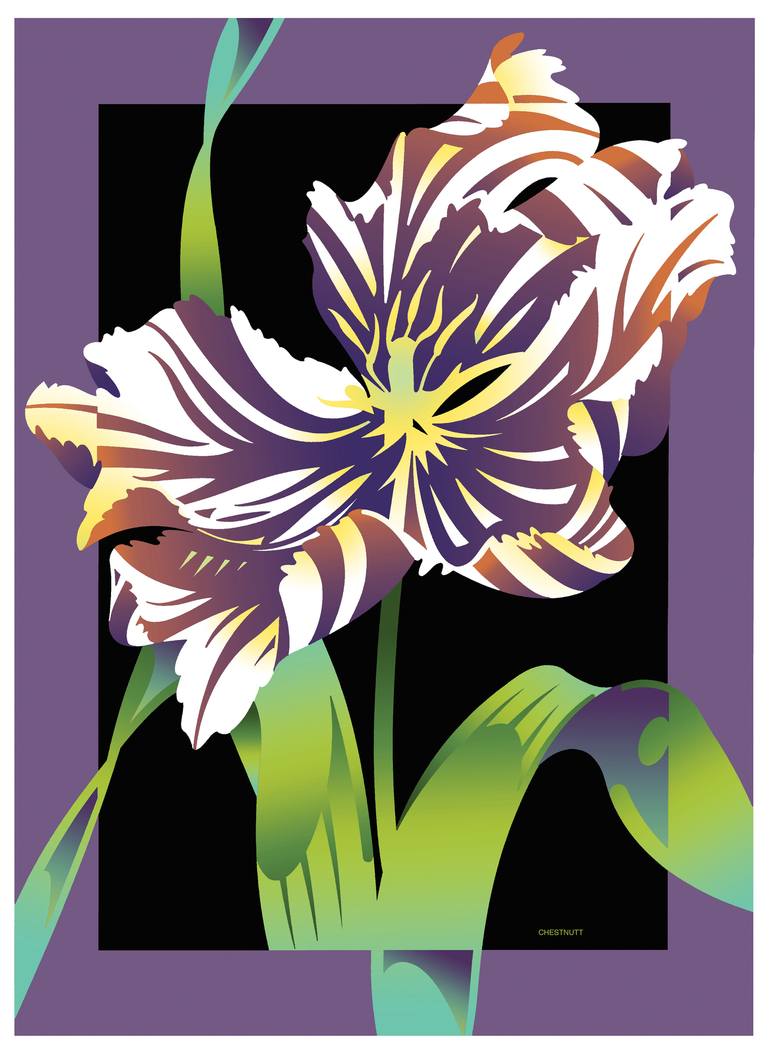 Midnight Tulip Drawing by David Chestnutt | Saatchi Art