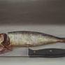 Sardine With Head Cut Off Painting by Andy Swani | Saatchi Art