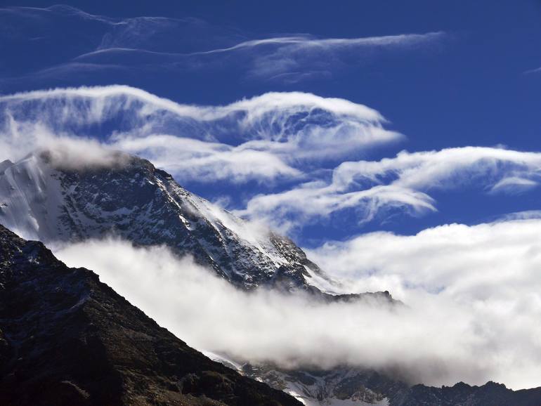 Pattern of Nature Photography by Partha Pal | Saatchi Art