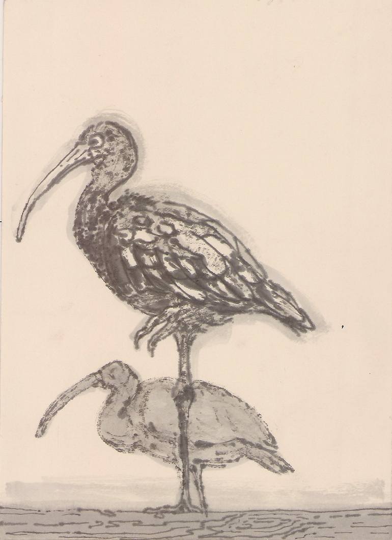 Ibis Drawing by magesh r | Saatchi Art