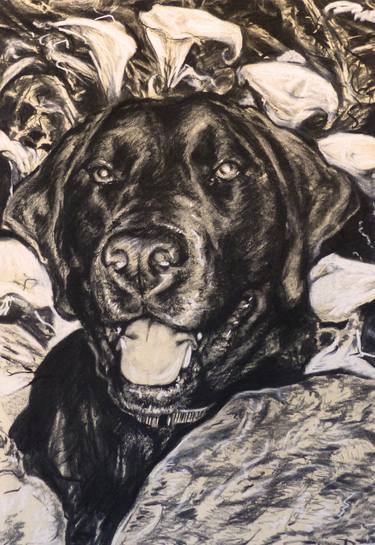 Stephanie Ryan Artworks | Saatchi Art