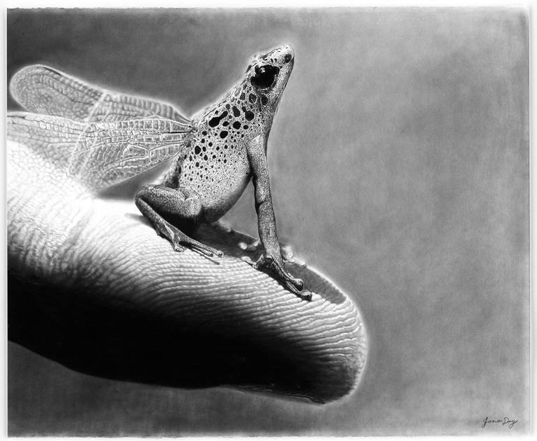 Poised Drawing by Jono Dry | Saatchi Art