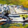 Louisiana Alligator on Log in the Bayou Painting by Caroline Youngblood ...
