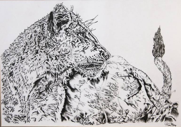 watchful eye Drawing by Hiten Mistry | Saatchi Art