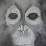 Have you seen my mum Drawing by Anita Mortimer | Saatchi Art