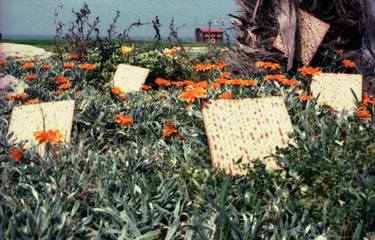 Daniel Reiter Artworks | Saatchi Art