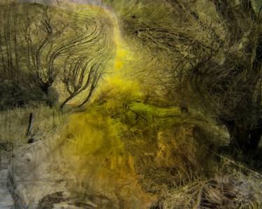 Geert lemmers Artworks | Saatchi Art