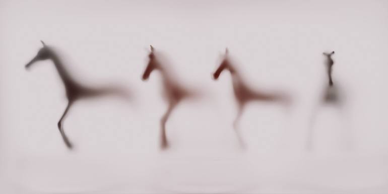 WILD LENS - HORSES III Photography by Sven Pfrommer | Saatchi Art