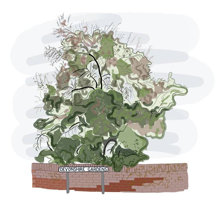 Devonshire Gardens Drawing by Victoria Kovalenko | Saatchi Art