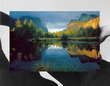 Erin Case Artworks | Saatchi Art