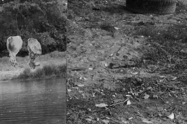 Erin Case Artworks | Saatchi Art