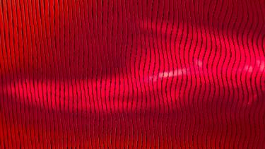 Arthur Rodrigues Artworks | Saatchi Art