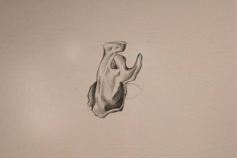 Shoulder Bone Ring Drawing by kathleen calleja | Saatchi Art