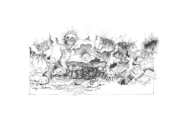 Inconsiderate Dragon Drawing by Nicholas Cook III | Saatchi Art