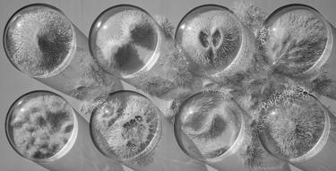 Rogan Brown | Saatchi Art