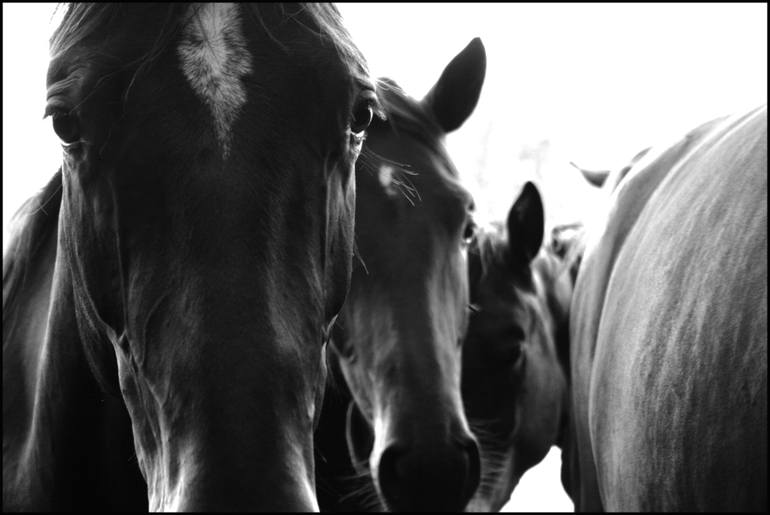 Wamckow I Photography by Detlef Witt | Saatchi Art