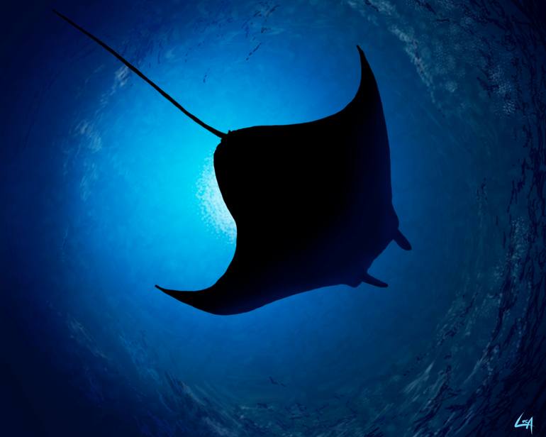 Manta Ray Painting by Tommy Luca | Saatchi Art