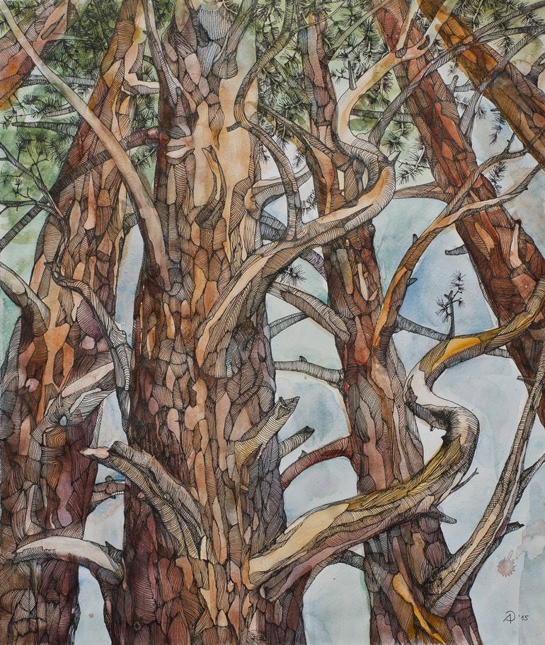 Pine-trees Drawing by Dmitri Albert | Saatchi Art