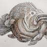 Priscilla the Fish Drawing by Dmitri Albert | Saatchi Art