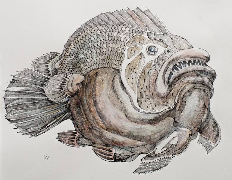 Priscilla the Fish Drawing by Dmitri Albert | Saatchi Art