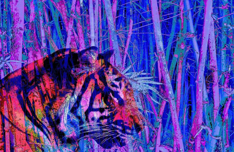 TIGER IN THE MIST Drawing by David Mckinney | Saatchi Art