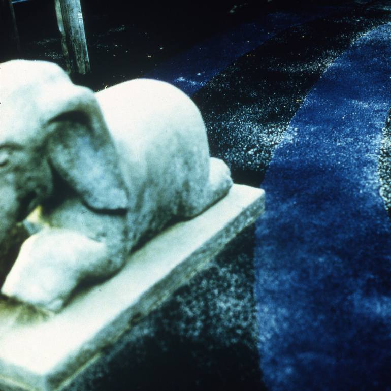 In the Back of My Mind Photography by Tamara Rafkin | Saatchi Art