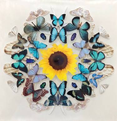 Holly Hudson Artworks | Saatchi Art