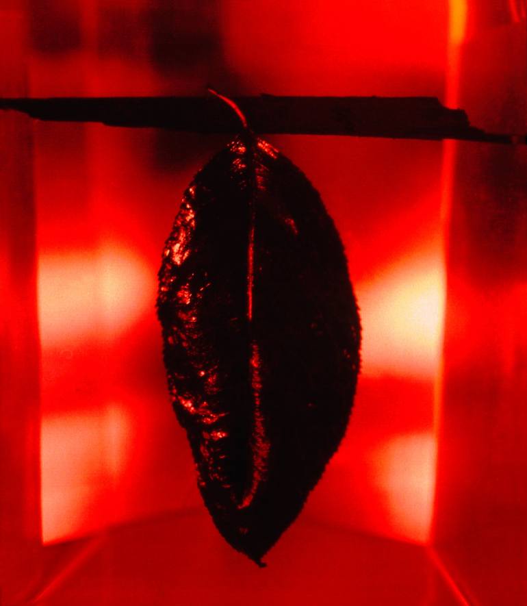 Crucifixion Photography by Morning Glory | Saatchi Art