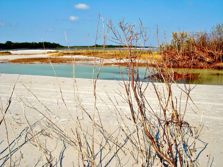 Fort De Soto Introversion Photography by Michael Erin Purdy | Saatchi Art