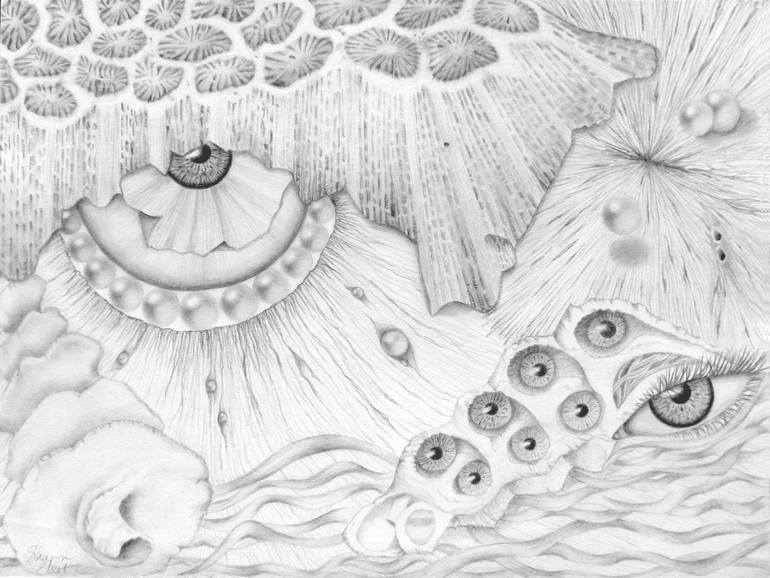 Sea Deep in Wisdom Drawing by Sharon Ebert | Saatchi Art